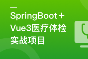 SpringBoot+Vue3+MySQL集群 开发大健康体检双系统（完整版23章）_泓优网络